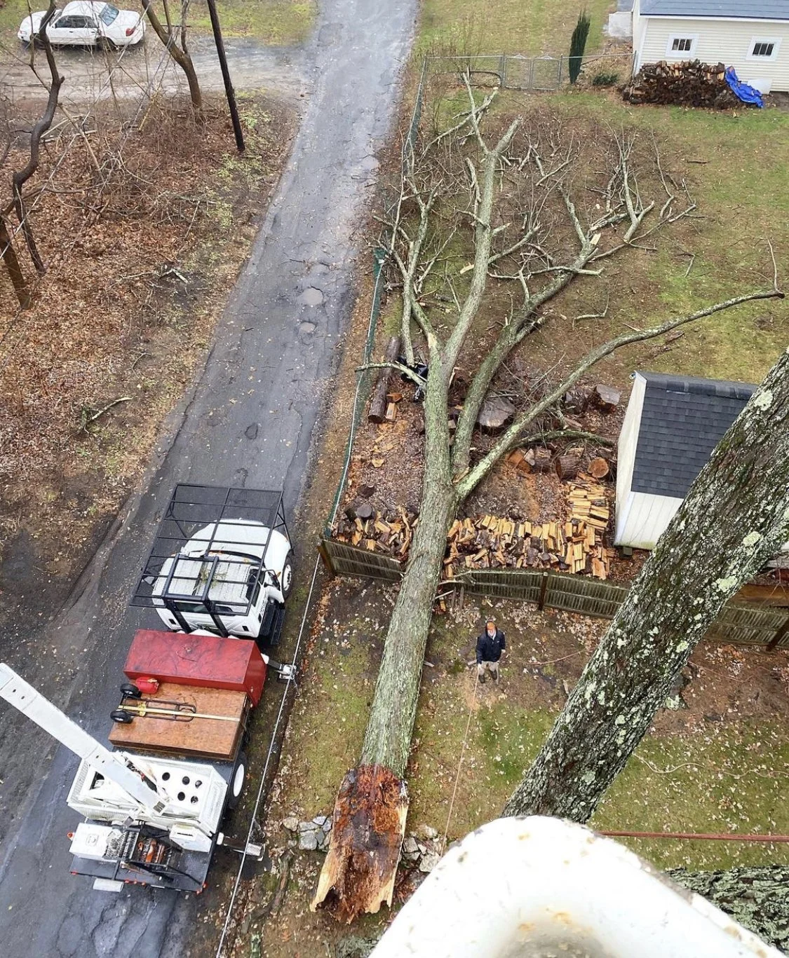 Tree Removal, Tree Trimming Serving Western MA and Northern CT — Taylor ...