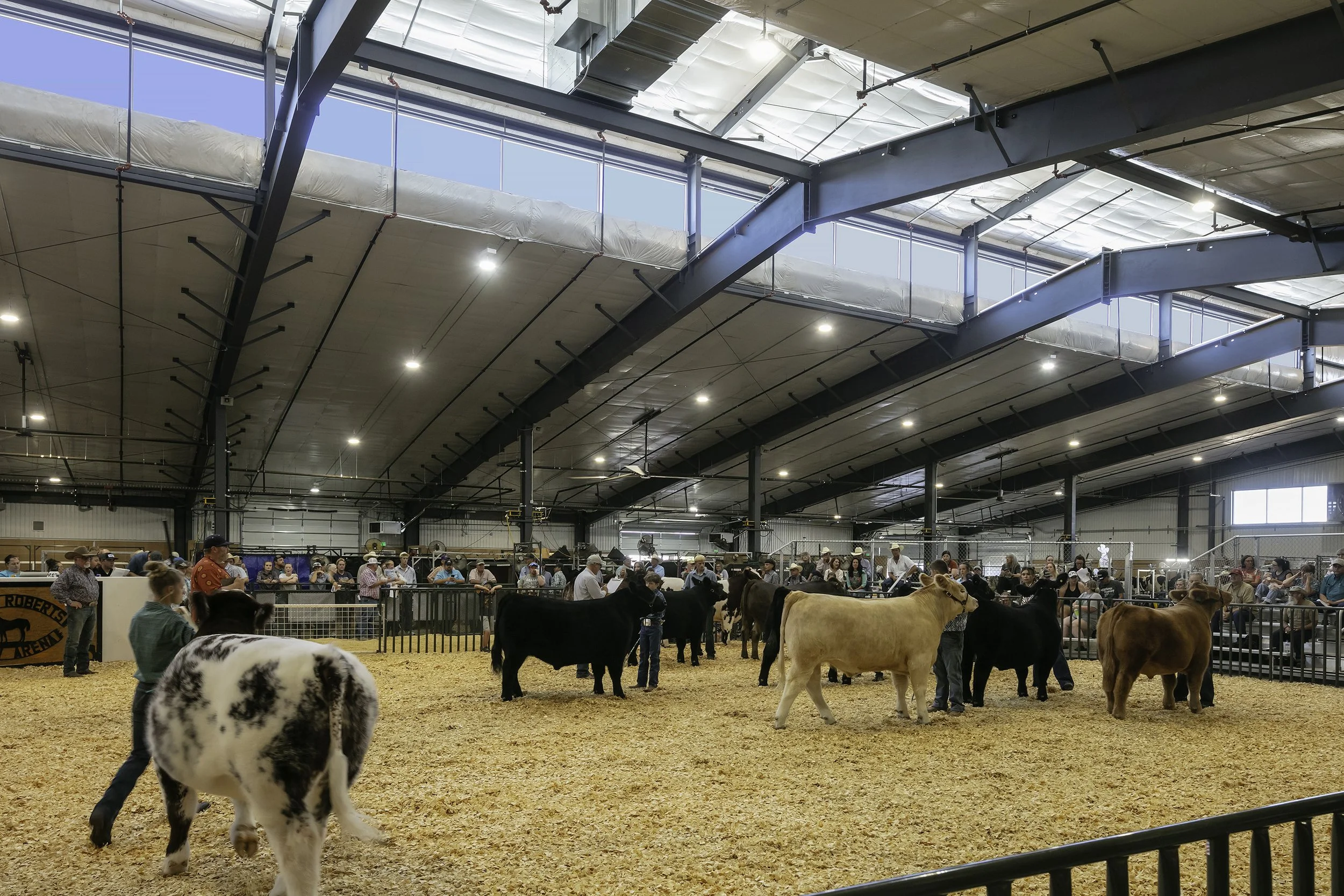 Curry County Livestock Pavilion — FORMATIVE Architecture