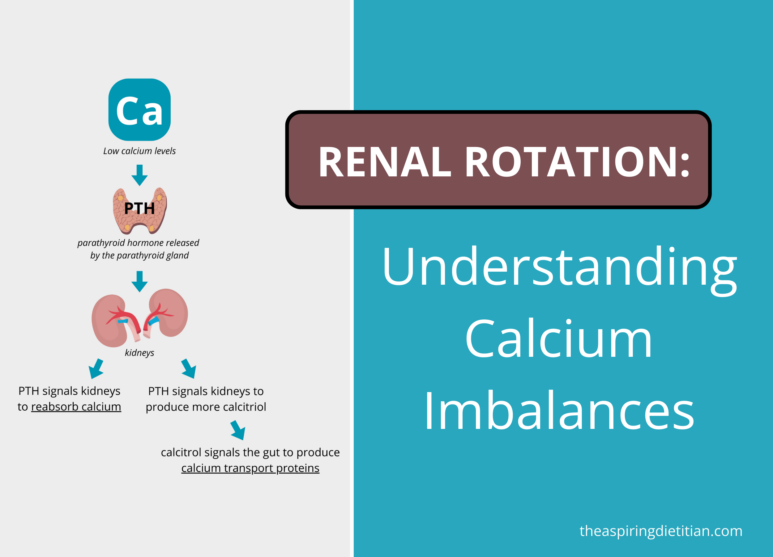 Blog — The Aspiring Dietitian