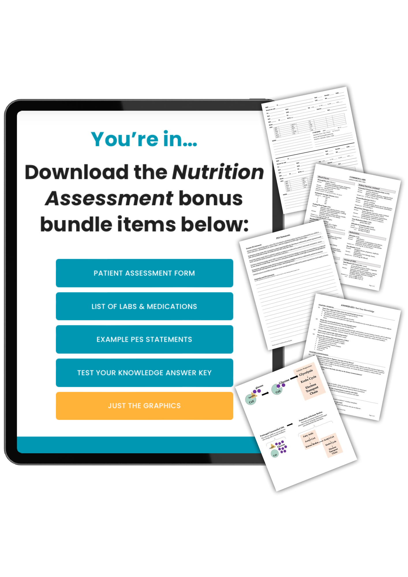 Dietetic Intern Guidebook — The Aspiring Dietitian
