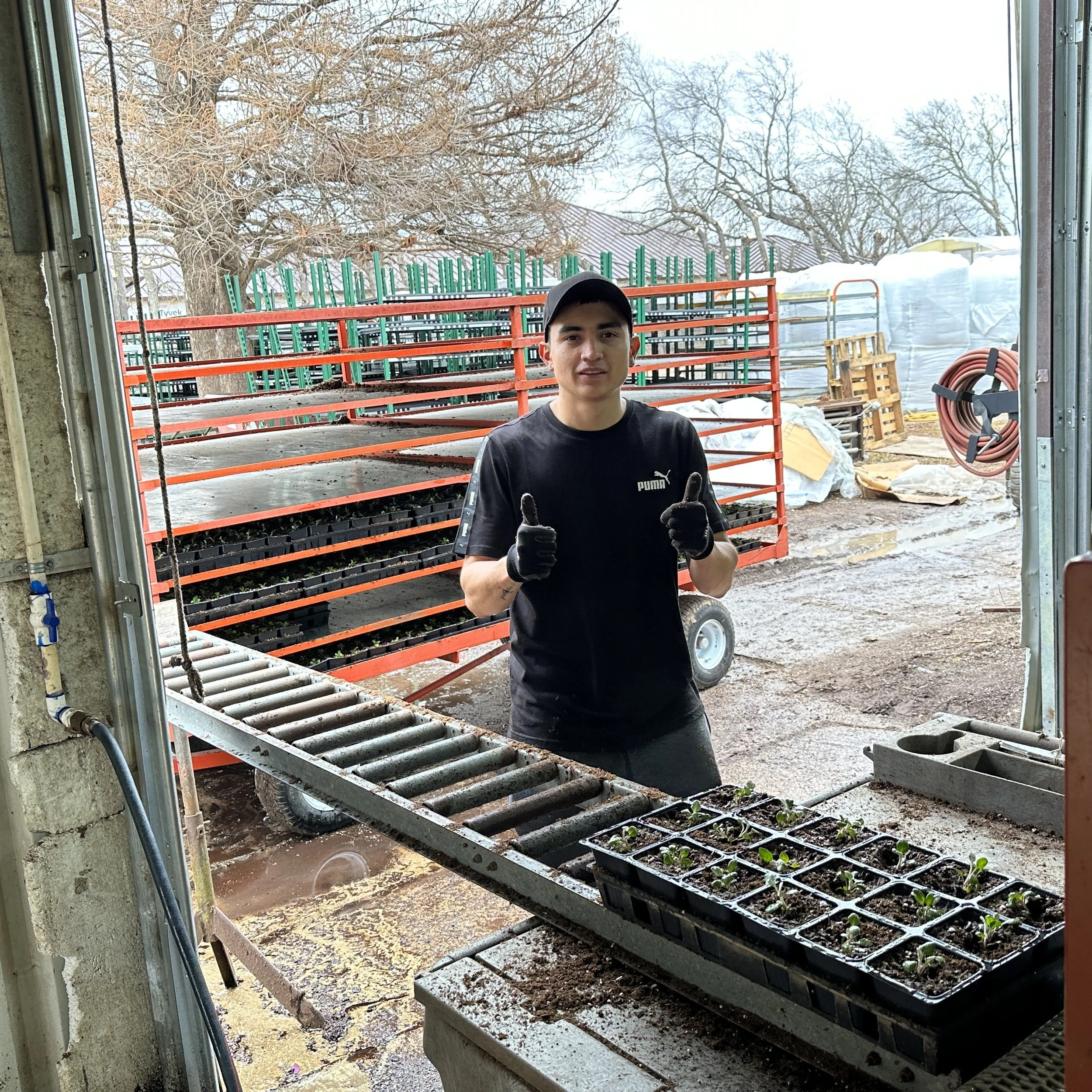 Contact — Rolke Greenhouses