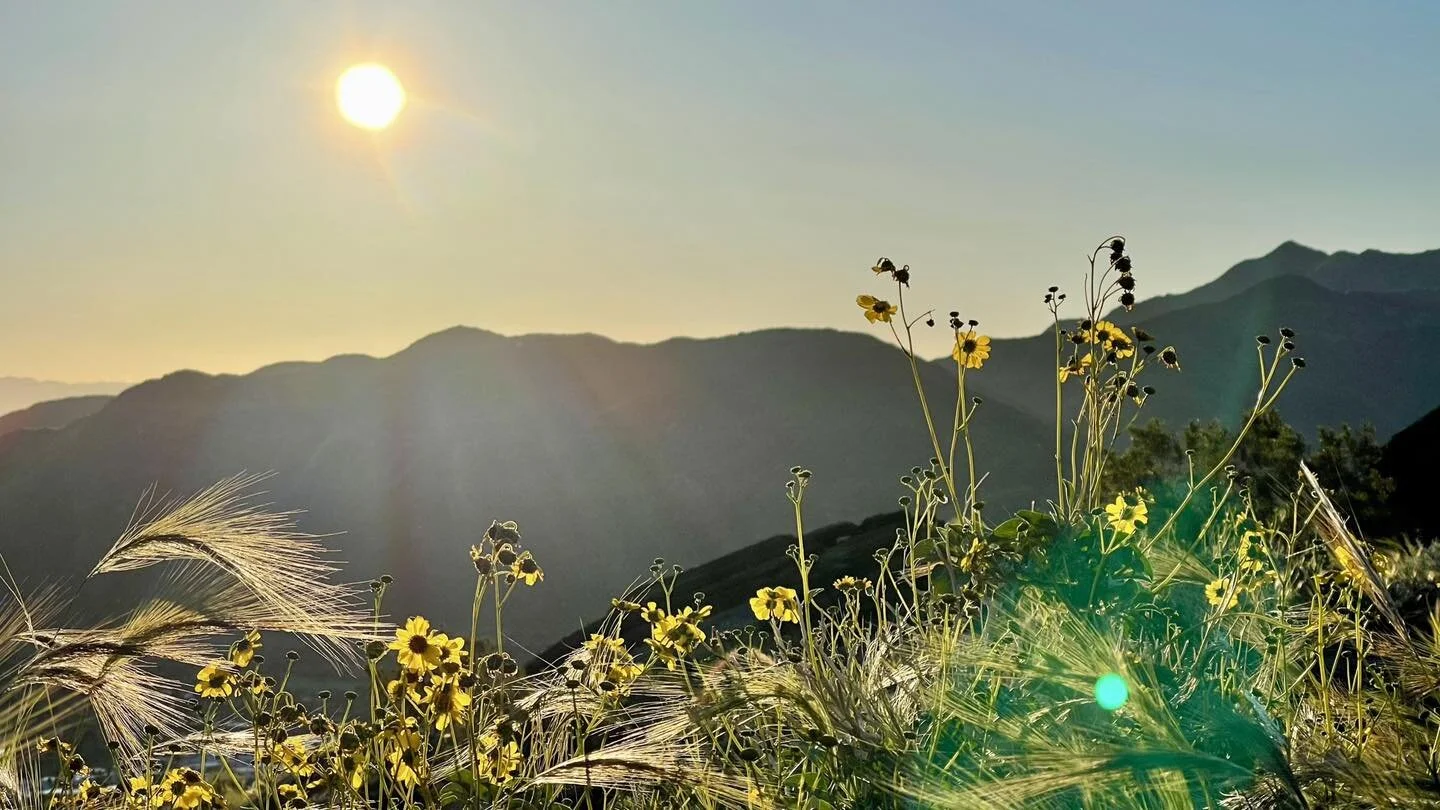 Sunrise Grounding | Morning Meditation Hike