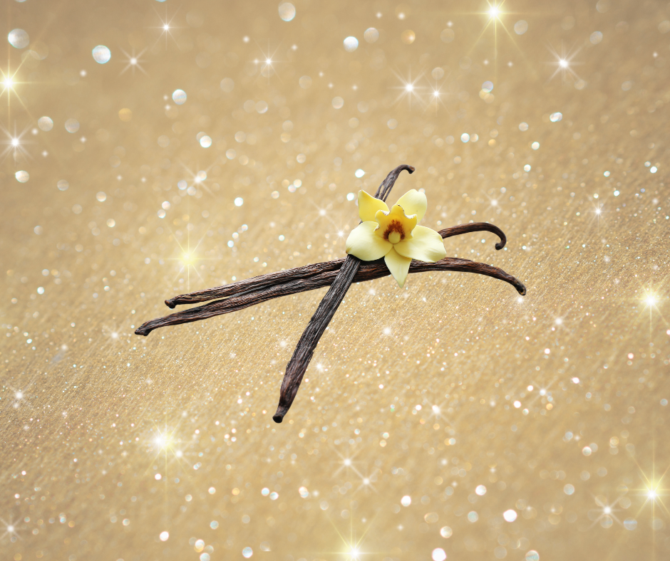 Vanilla Voyages: A Globe-Trotting Adventure through Festive Flavours ...