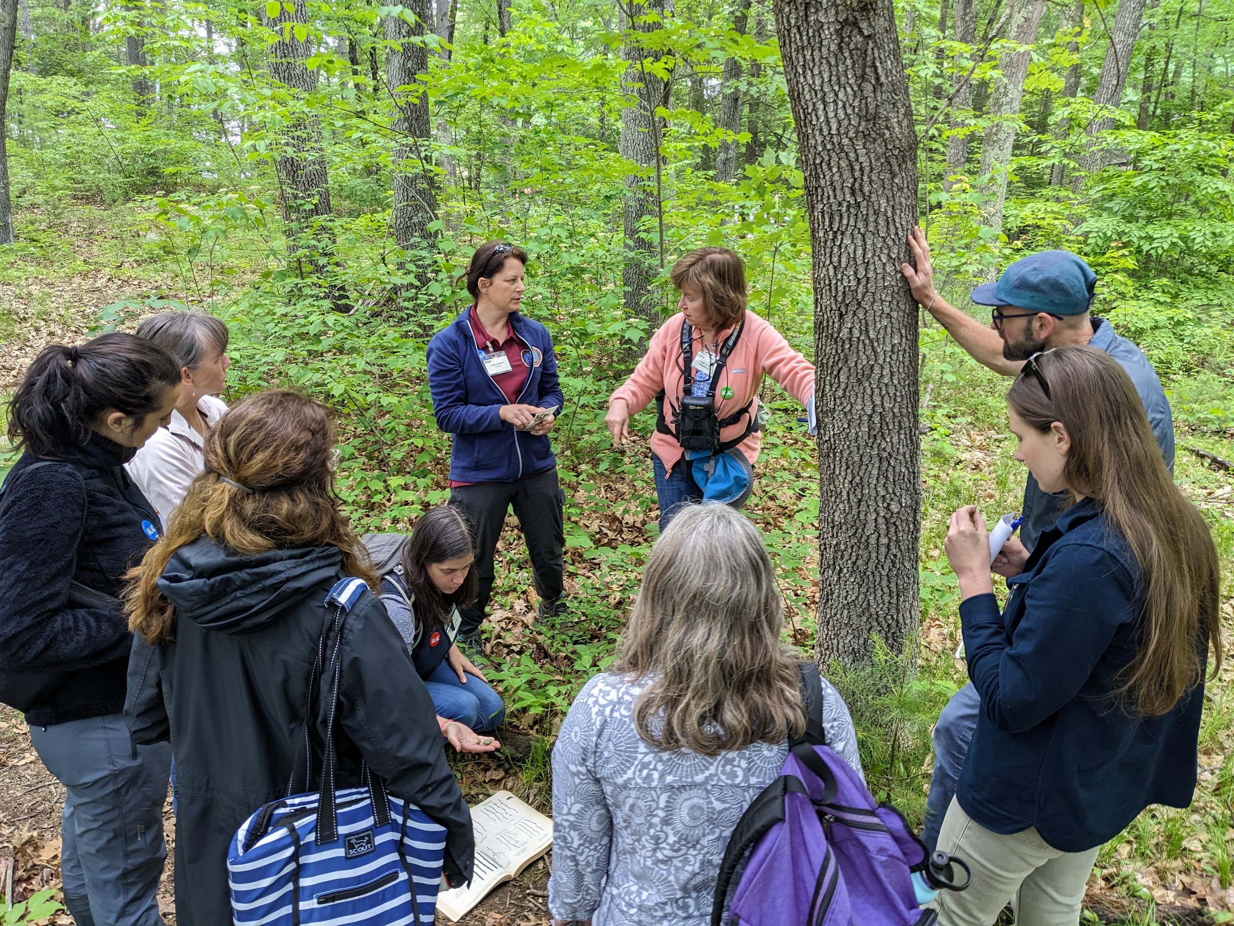 Massachusetts Society of Municipal Conservation Professionals