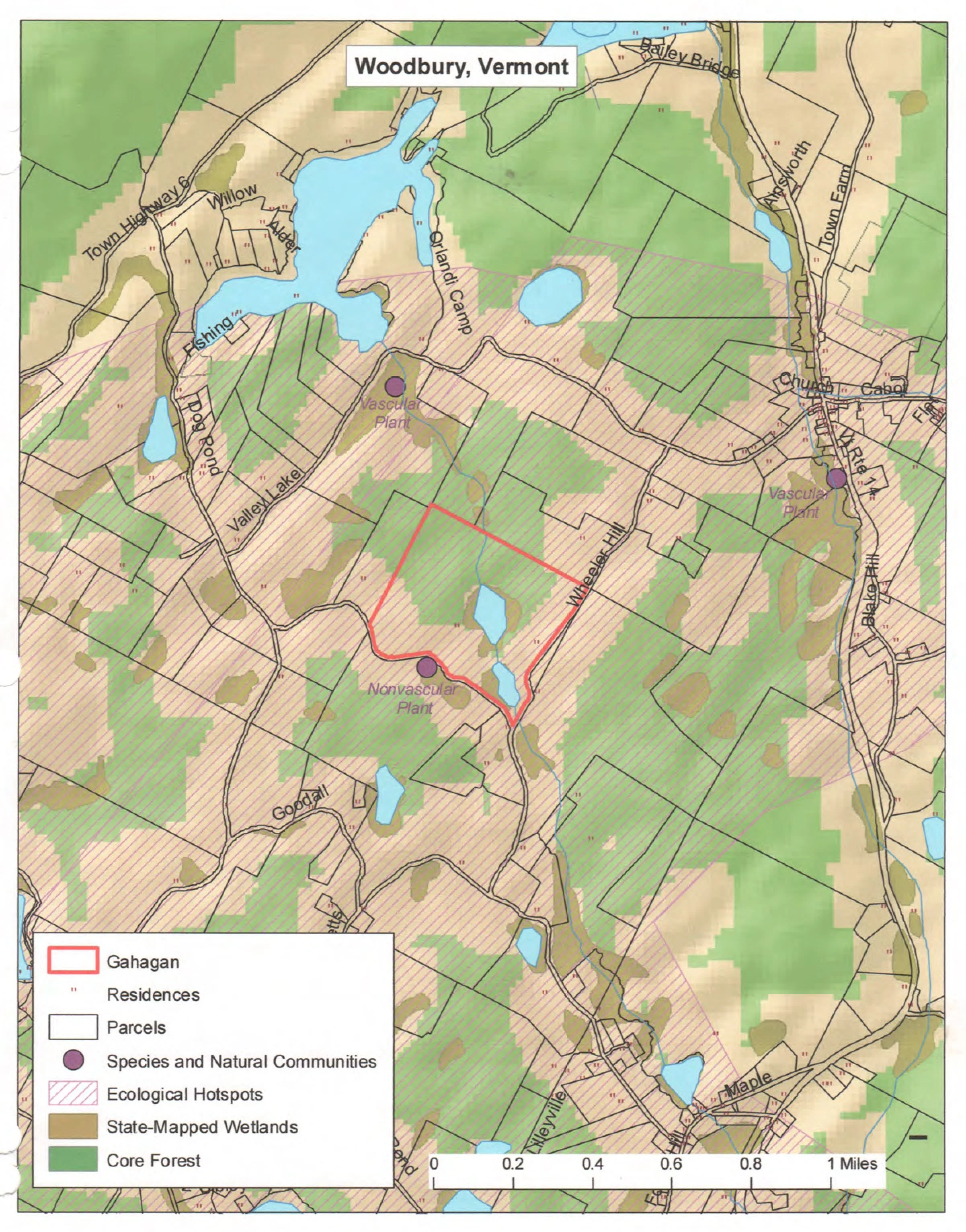 Gahagan Easement — Northern Rivers Land Trust