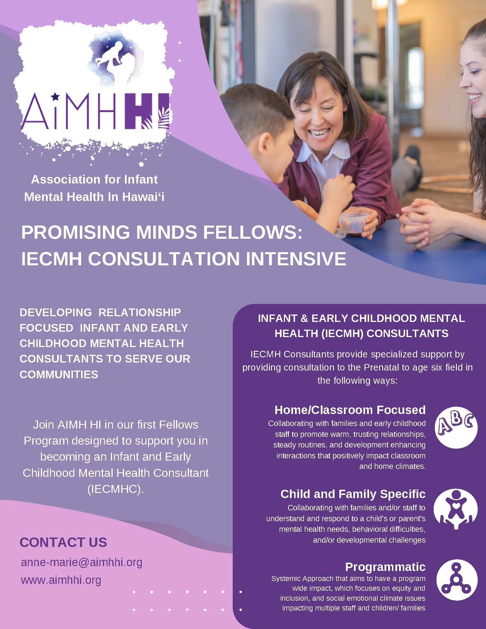 Fellows Program — AIMH HI