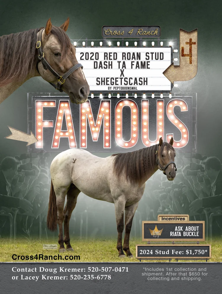 FAMOUS Stallion — Cross 4 Ranch