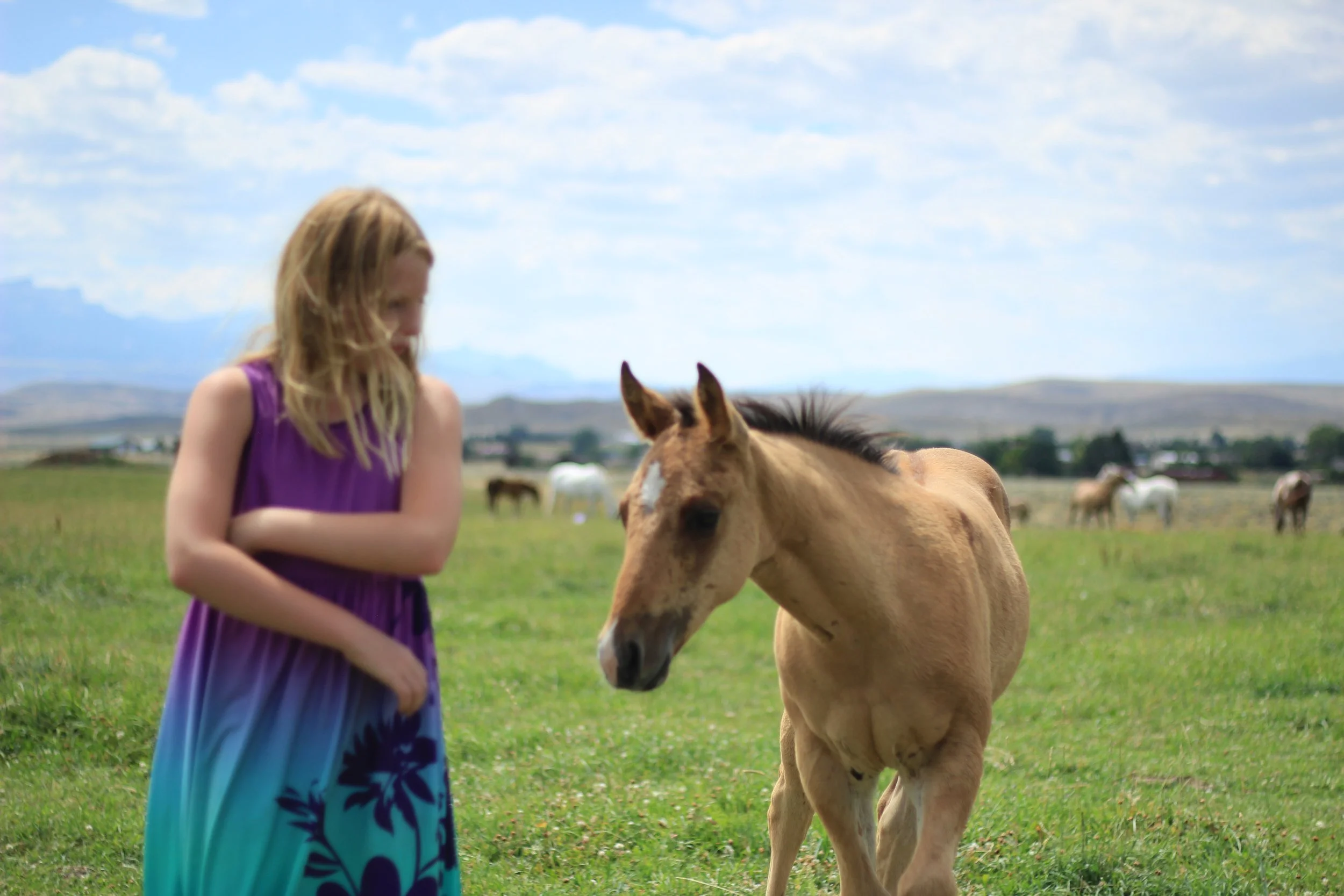 MR MAVERICK TO YOU — Cross 4 Ranch