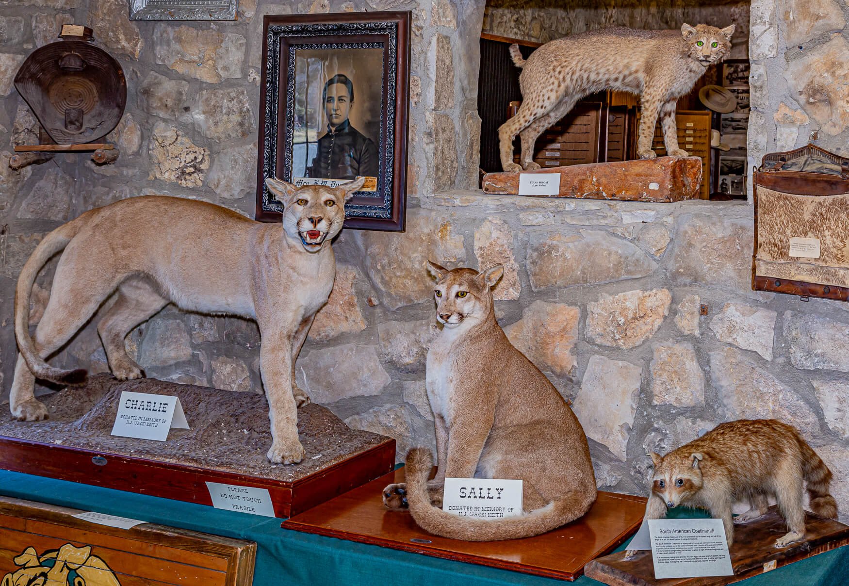 Exhibits — Frontier Times Museum