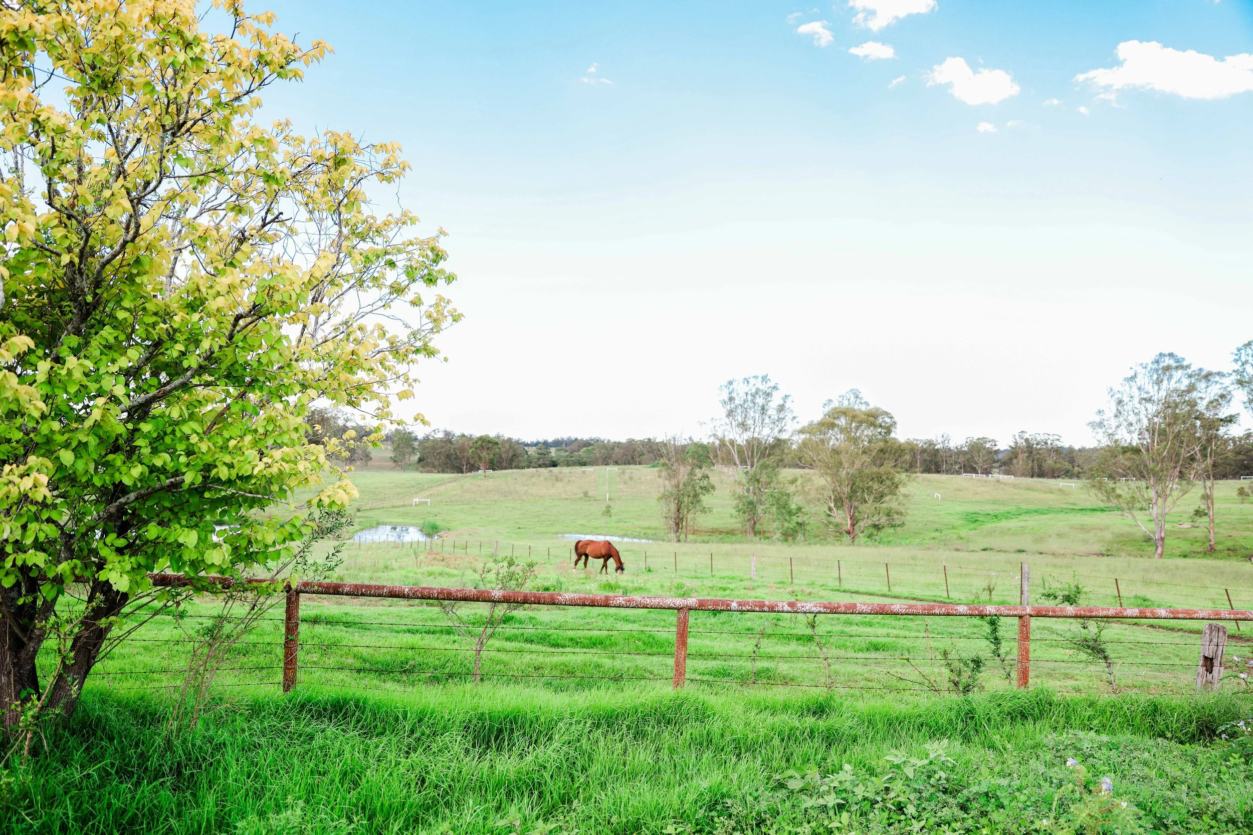 Sugarloaf Equestrian Centre