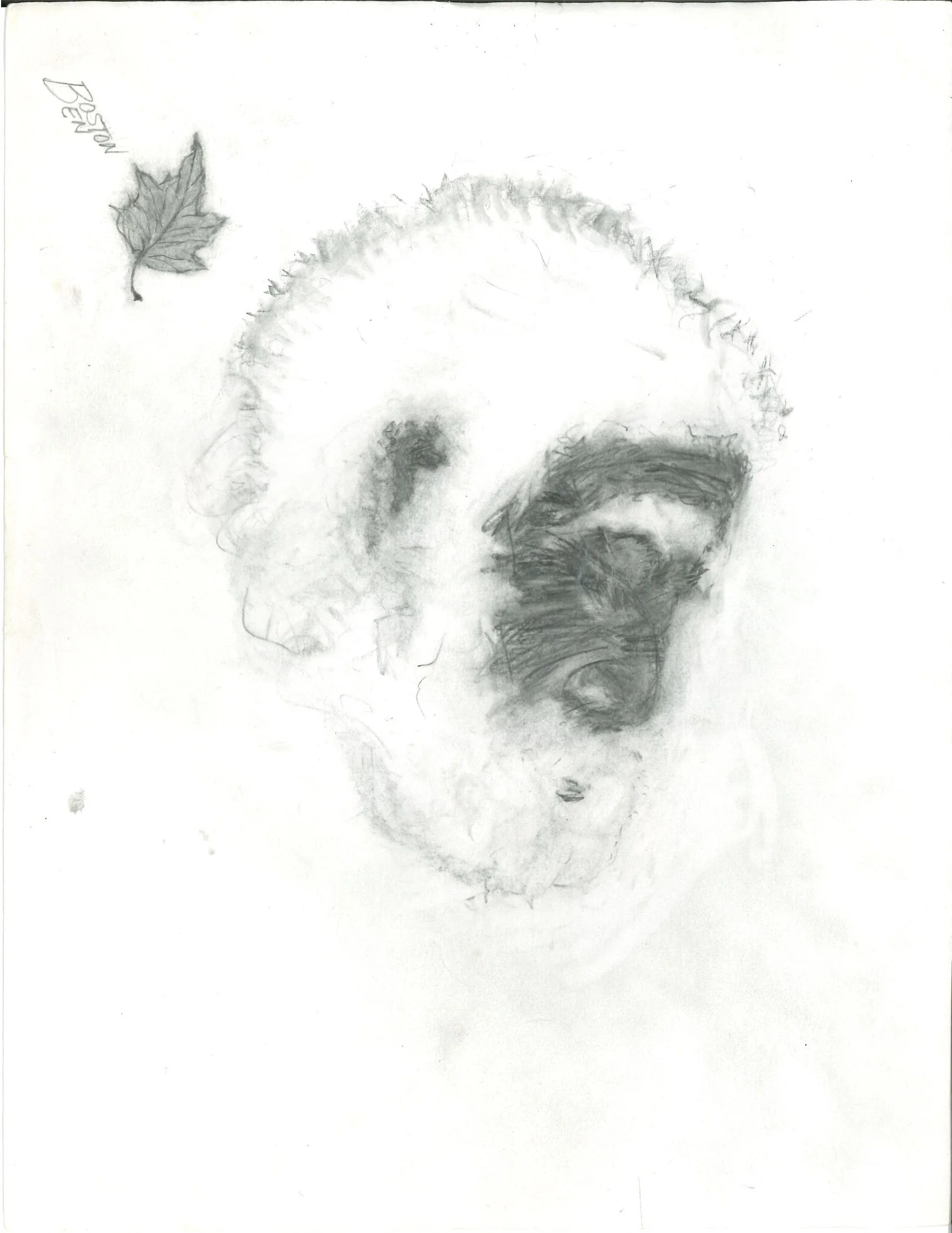 The BBH Gallery — BostonBen