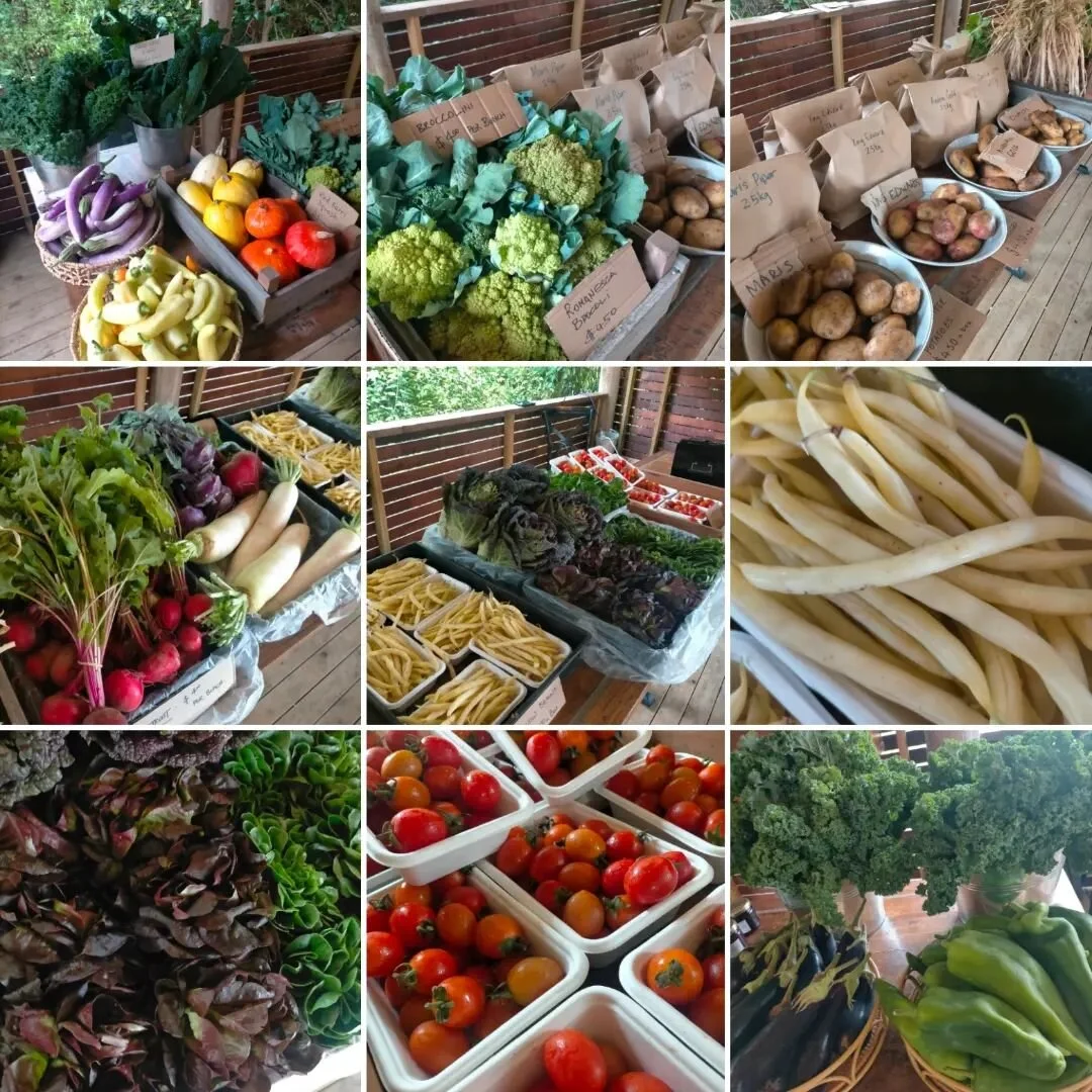 Megalong Valley Tea Rooms - Blue Mountains Cafe