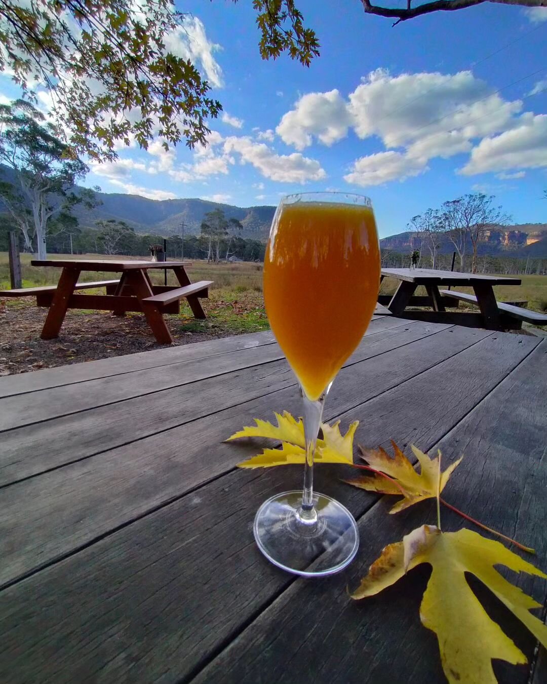 Megalong Valley Tea Rooms - Blue Mountains Cafe