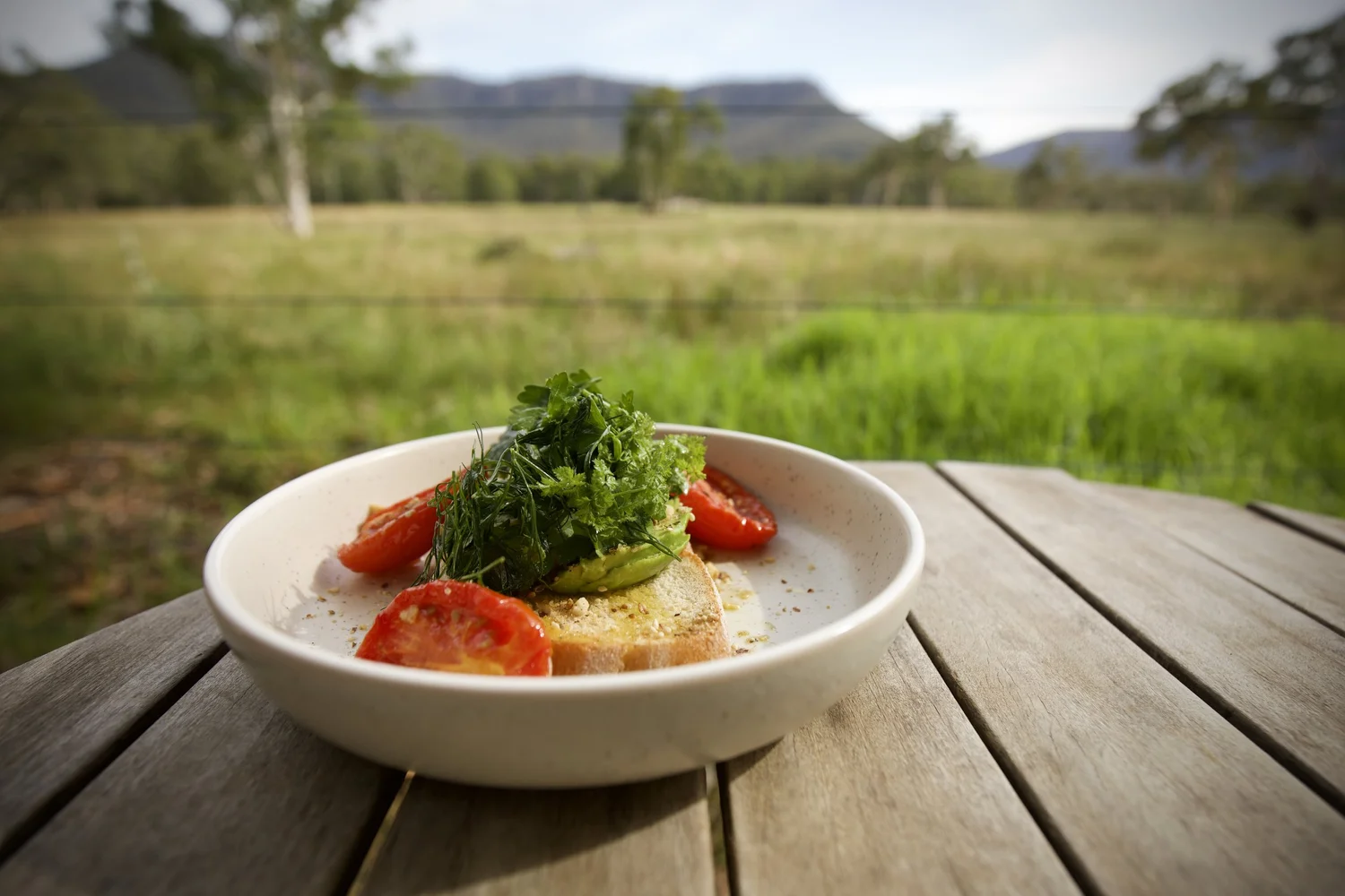 Megalong Valley Tea Rooms - Blue Mountains Cafe