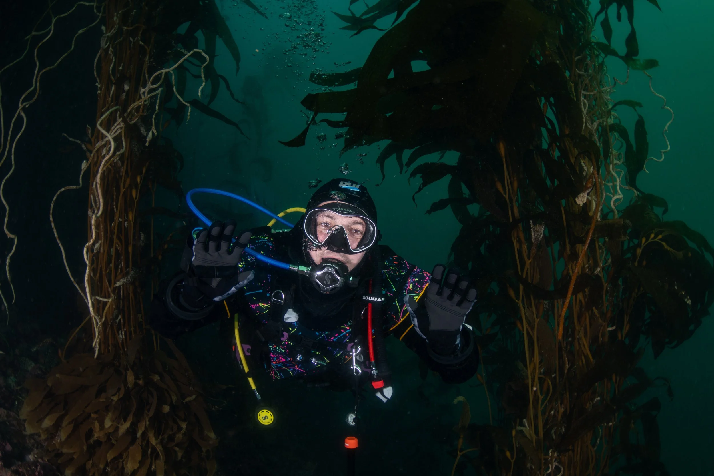 Monterey Expeditions - Your Local Guides