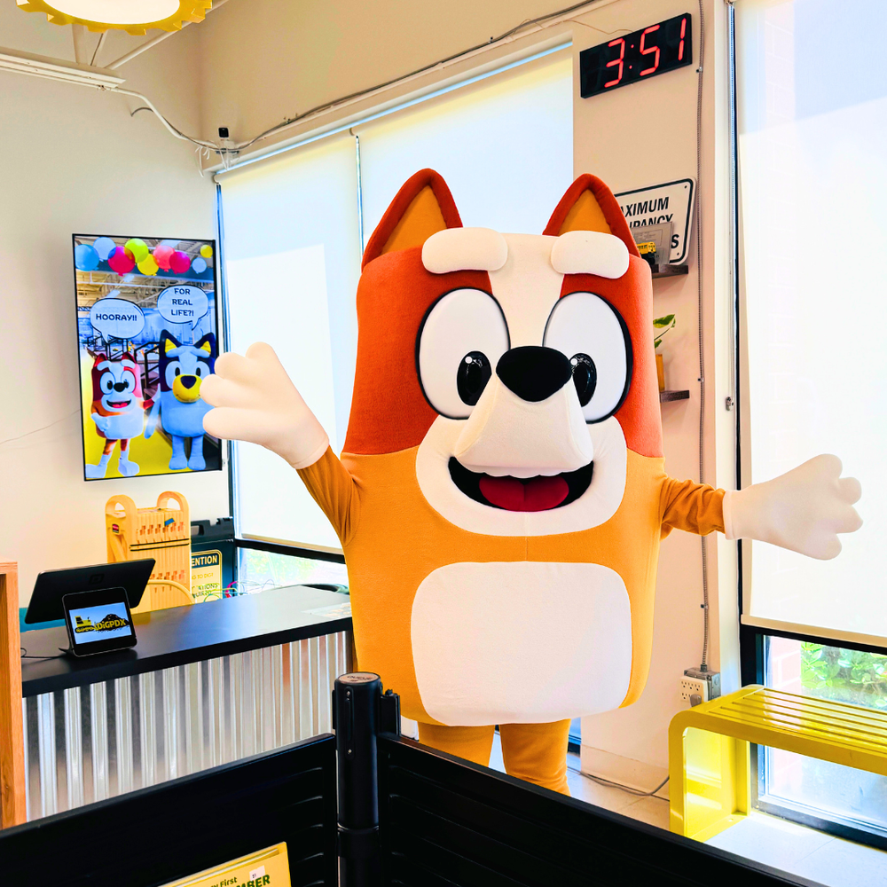 DiG PDX - Oregon's Largest Indoor Sandbox