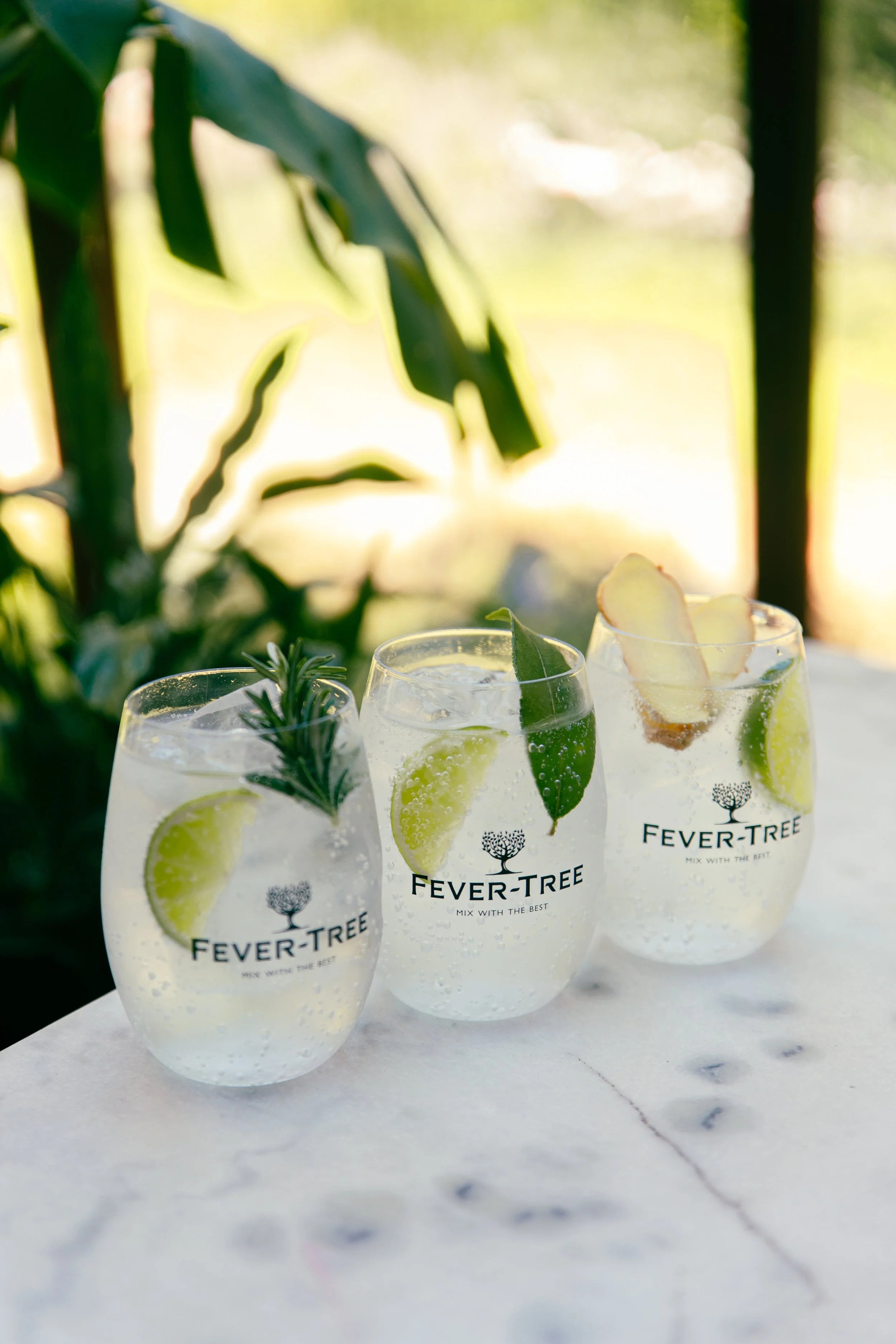 Bar Botanica — Distillery Botanica