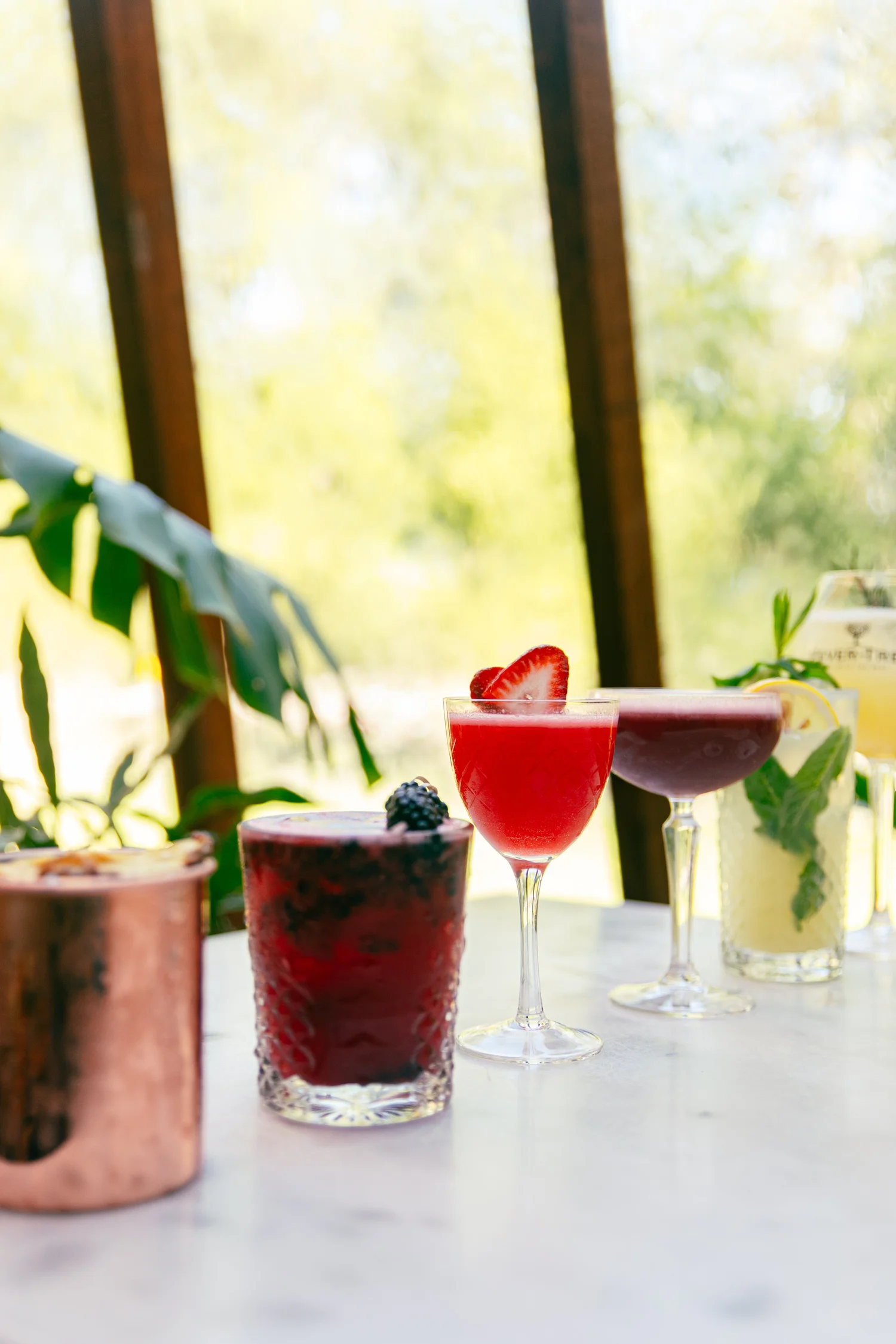 Bar Botanica — Distillery Botanica