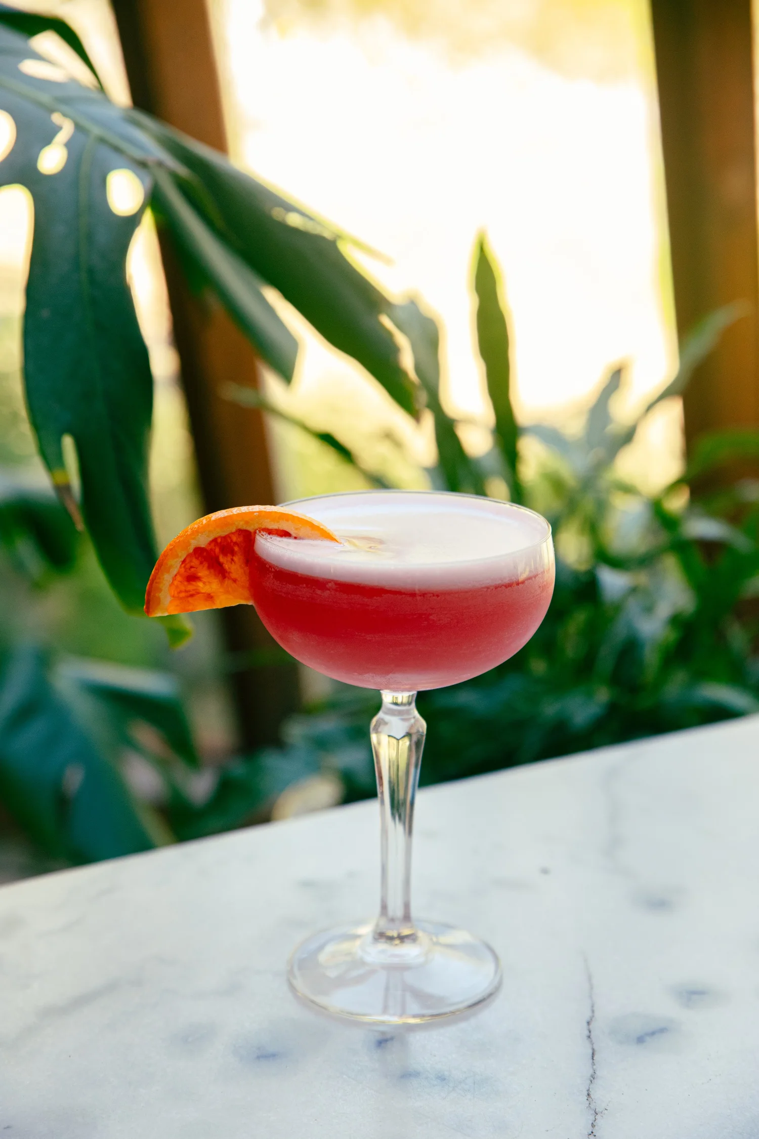 Bar Botanica — Distillery Botanica