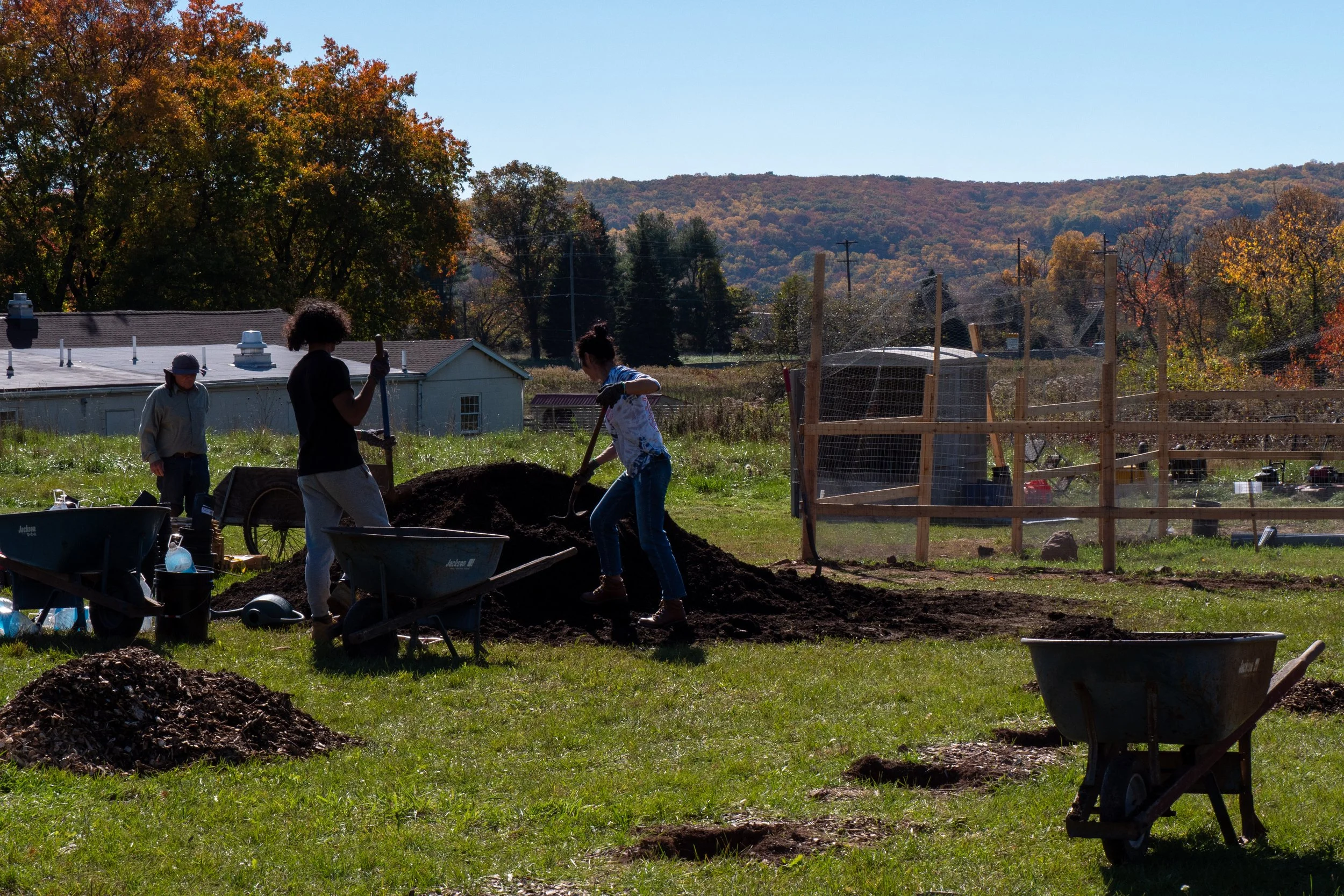 Martha's Community Farm — Martha's Choice Marketplace & Community Farm
