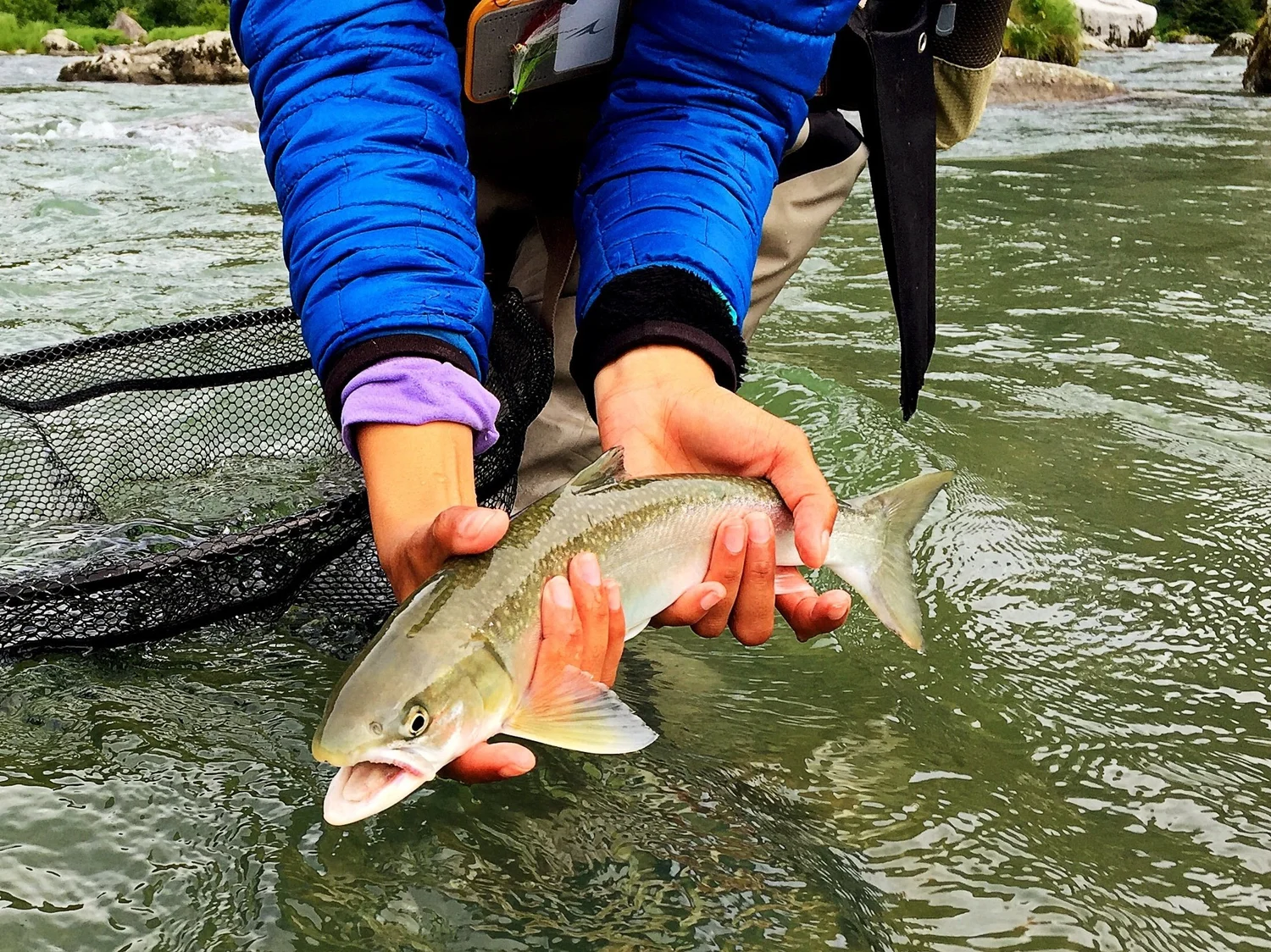 Haines Fly Fishing — Fly Guides | Haines, Alaska