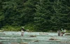 FAQs — Fly Guides | Haines, Alaska
