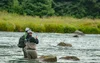 Fly Guides | Haines, Alaska
