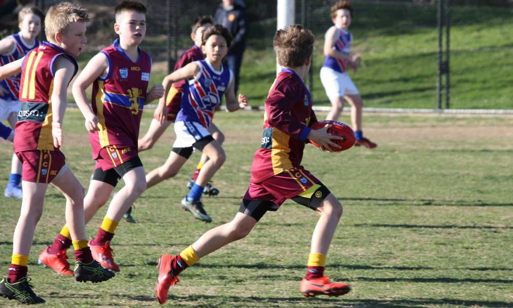 Our Committee — Murrumbeena Junior Football Club