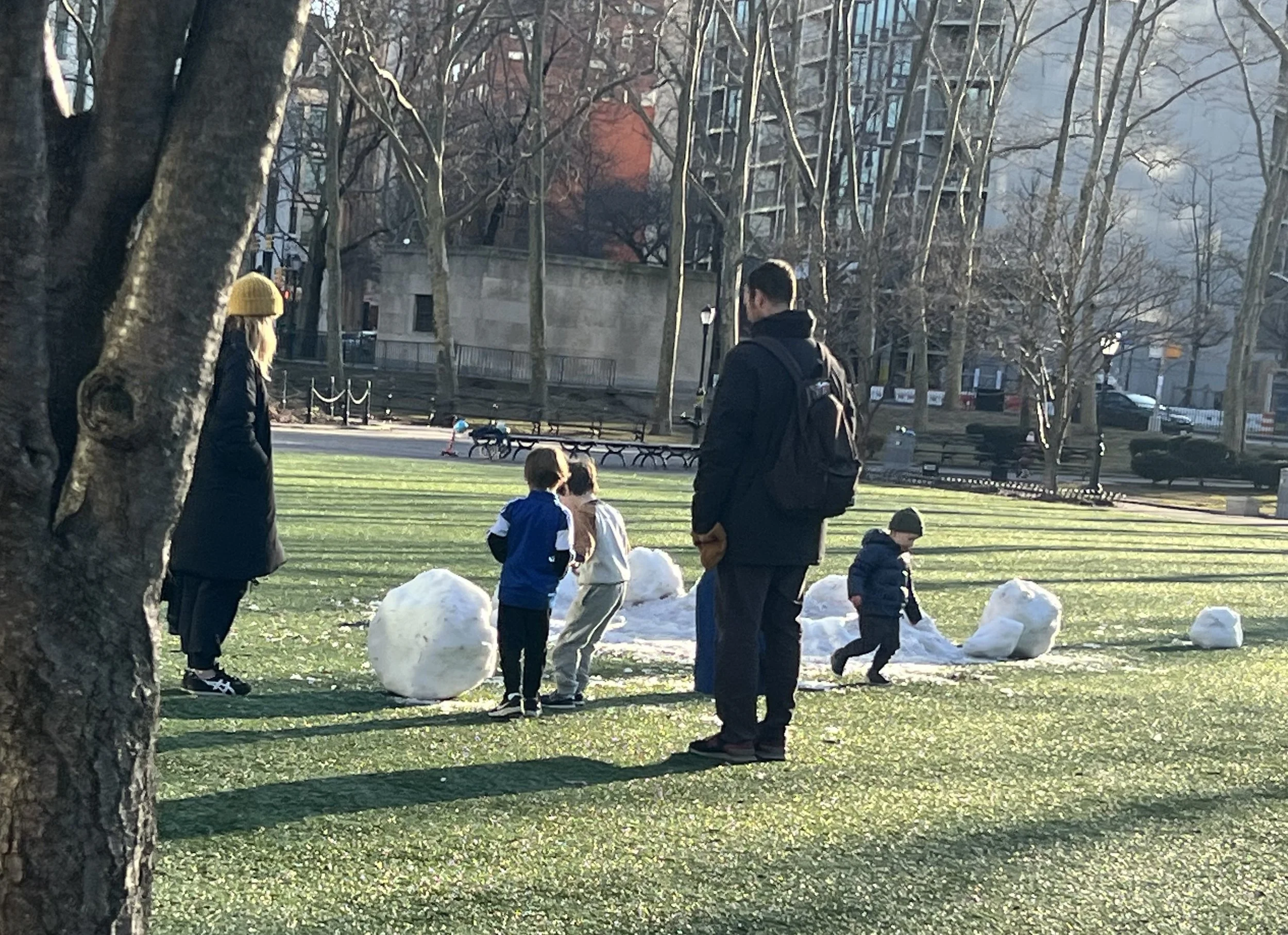 Park News — Cadman Park Conservancy