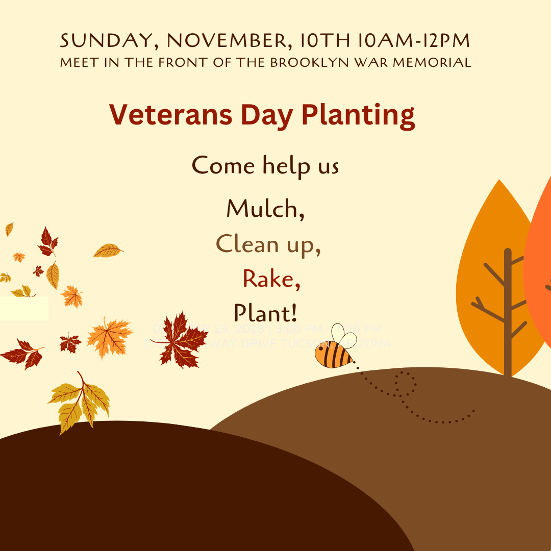 Veterans day — Cadman Park Conservancy