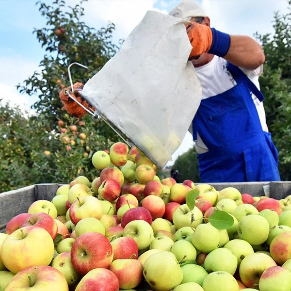 Queensland Agriculture Workforce Network — Growcom