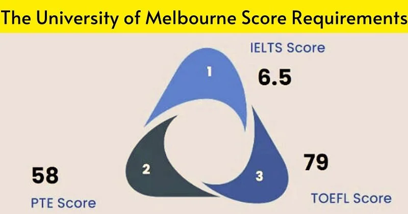 How To Get Into Melbourne University: International Undergraduate ...