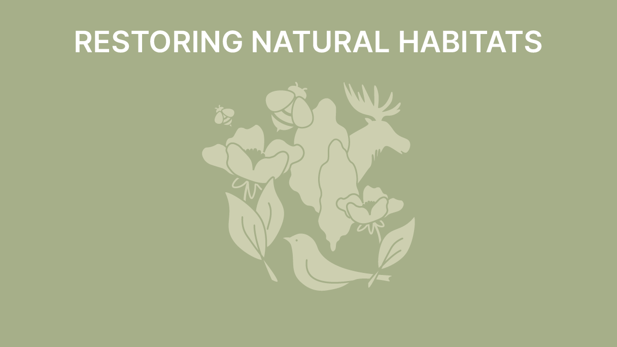 Environment — ARCH4CHANGE