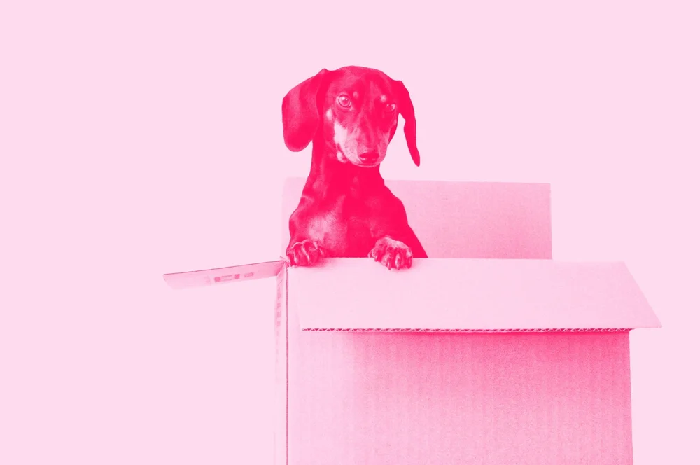 Structure your submission folder effectively 📁 — Vidsy Creator Hub