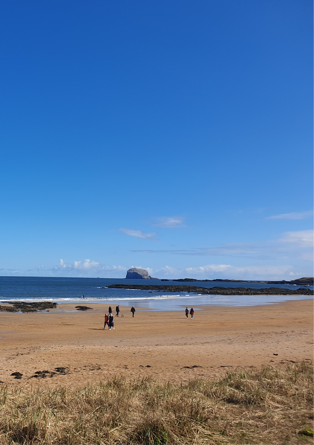 Edge Transitions Programme | Transforming Transitions | Edge Group Scotland