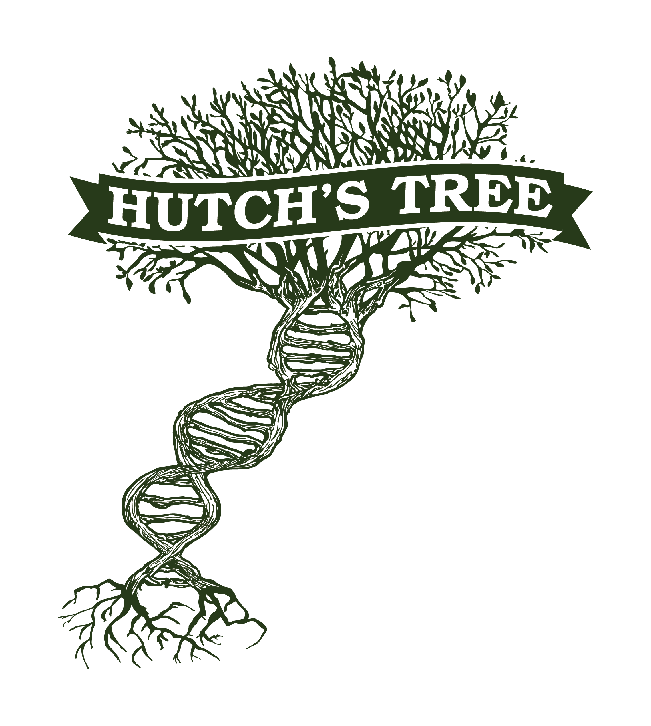 Hutch's Property & Tree | Project Gallery | Maine Arborist, Tree Care ...
