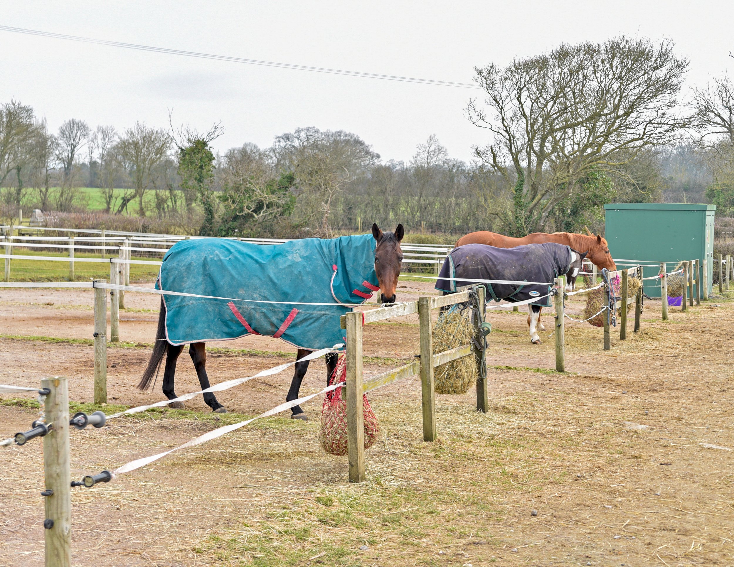 Mill Farm Livery