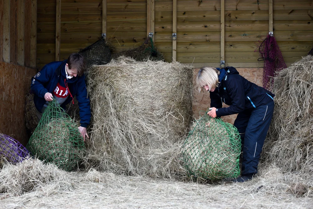 Mill Farm Livery