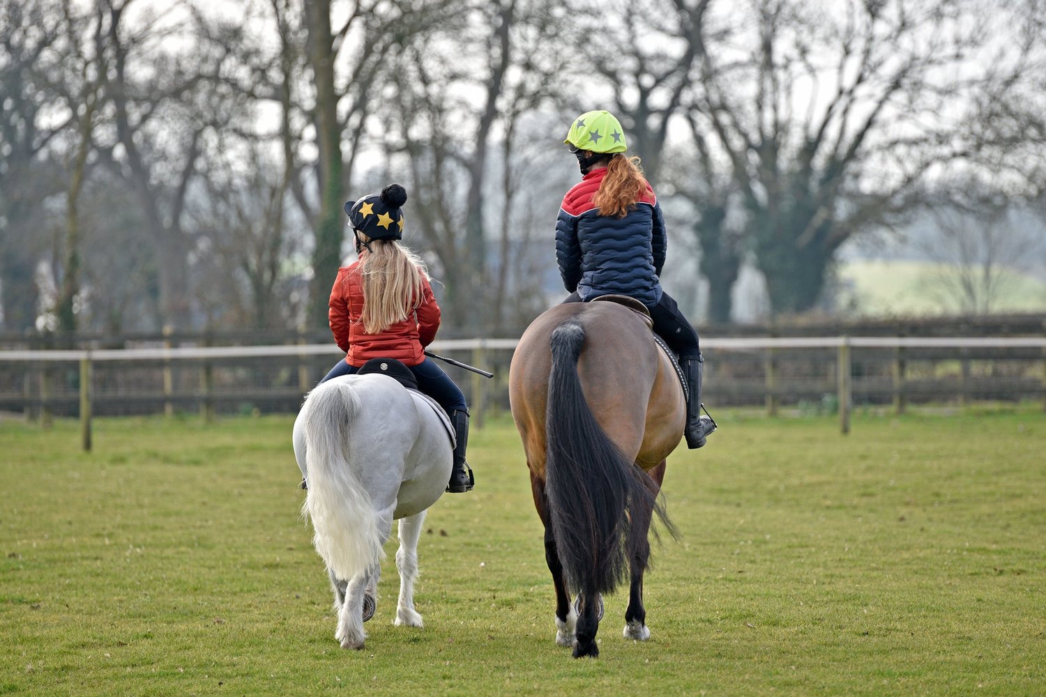 About — Mill Farm Livery