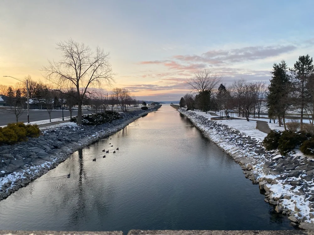 Visit Emerson Park — Friends of Emerson Park