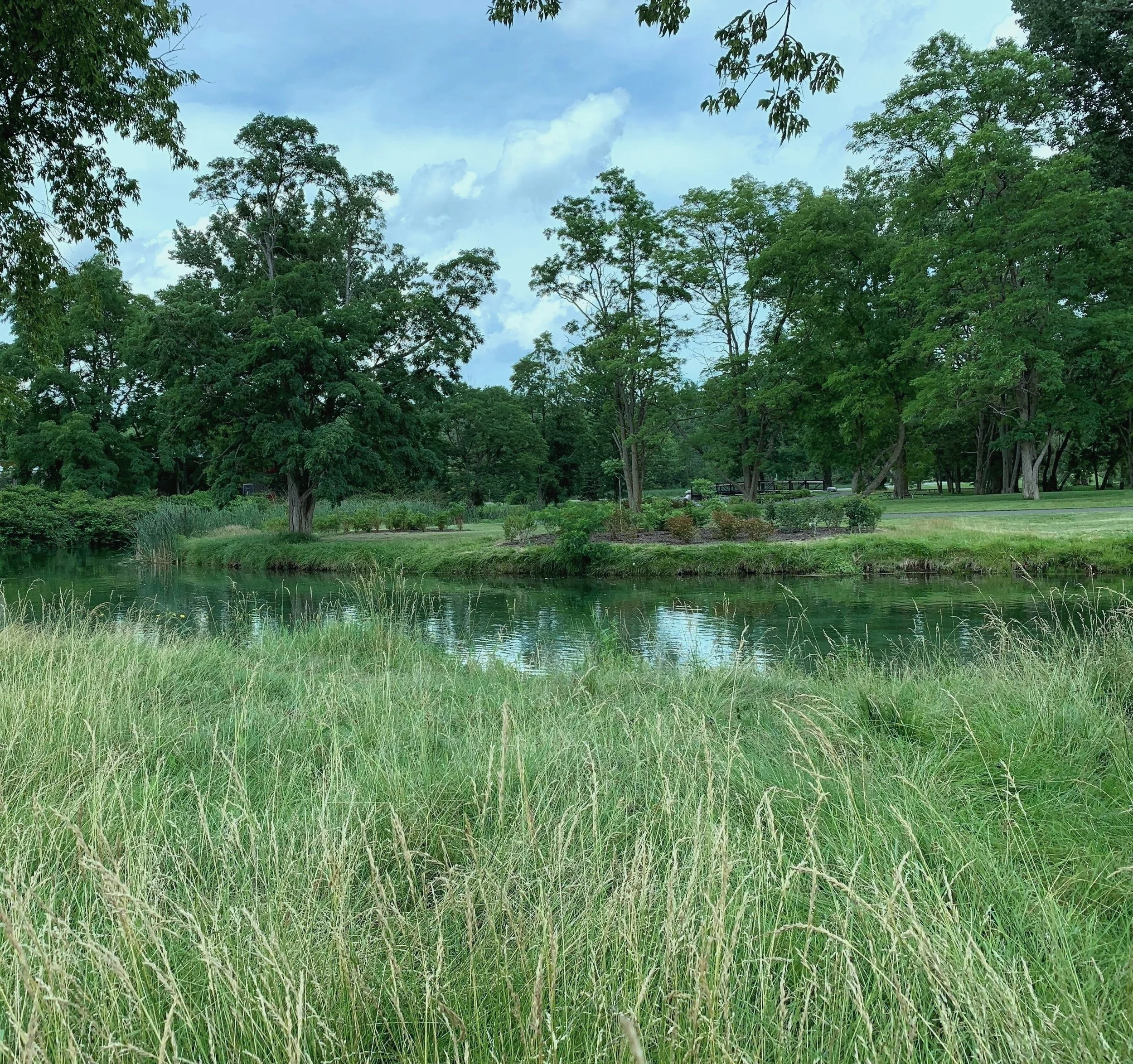 Friends of Emerson Park