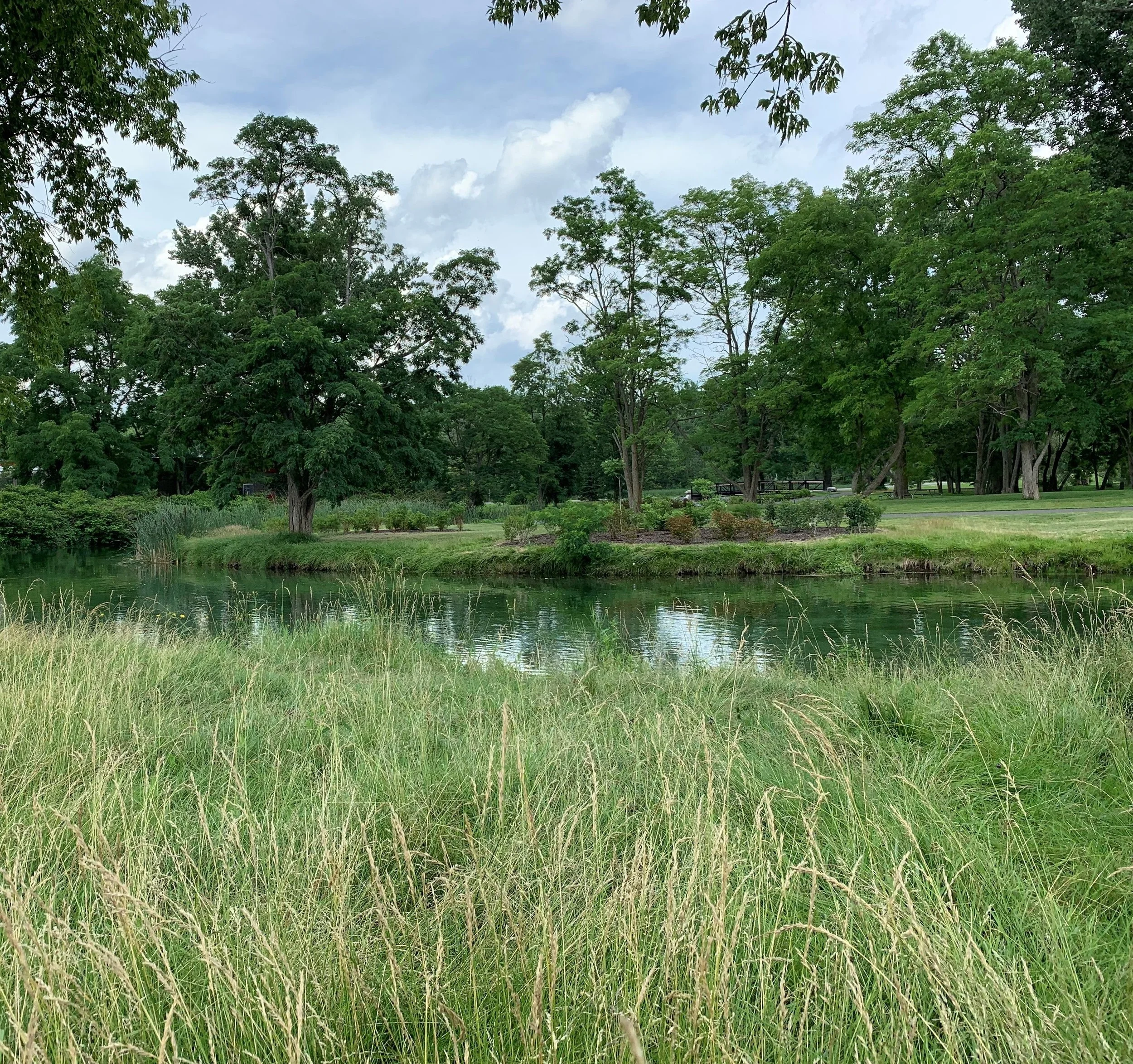 Friends of Emerson Park