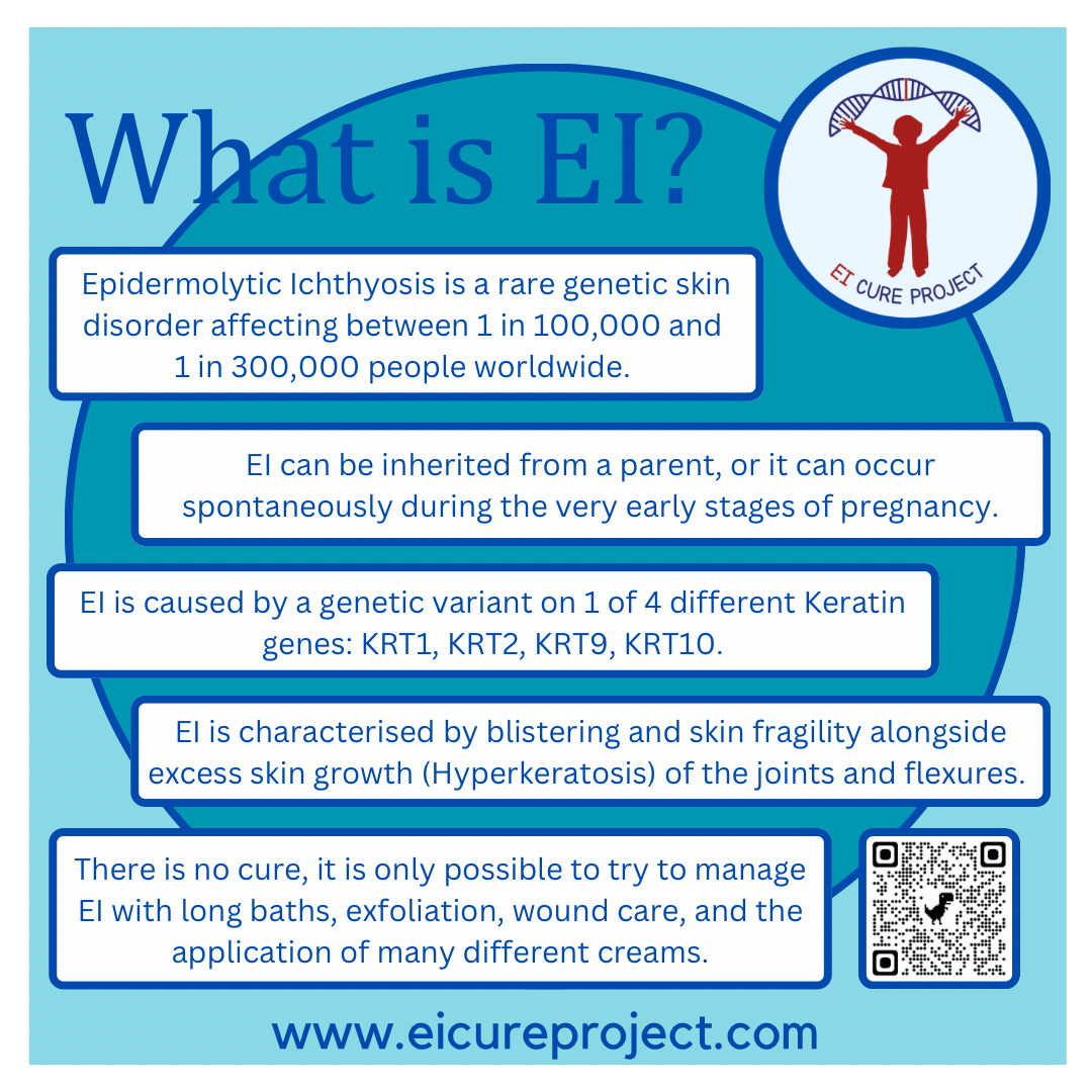 What is Epidermolytic Ichthyosis (EI) — EI cure project / Epidermolytic ...