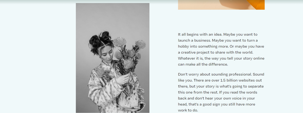 How To Apply Hover Effect Over Images Using Custom Css In Squarespace 71 — Sqsp Starter