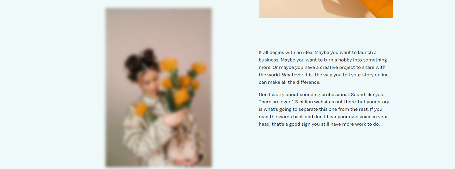 How To Apply Hover Effect Over Images Using Custom Css In Squarespace 7