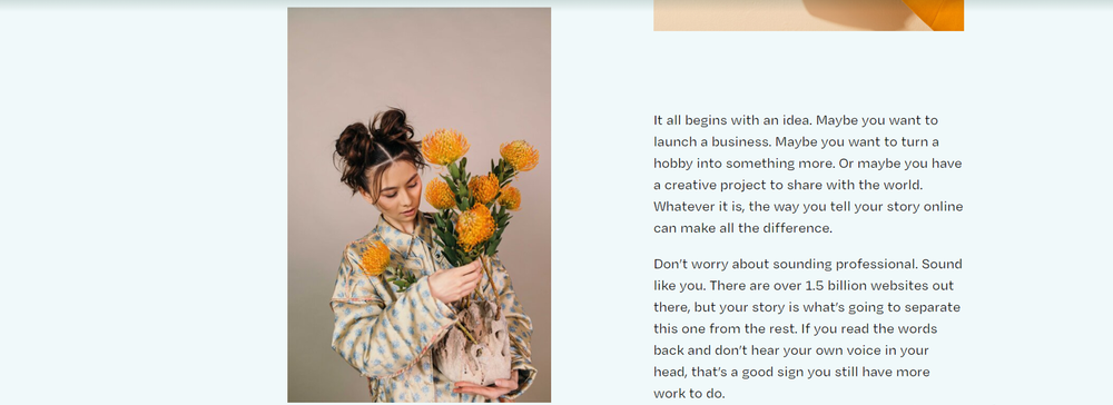 How to Apply Hover Effect over Images Using Custom CSS in Squarespace 7.1 — SQSP Starter