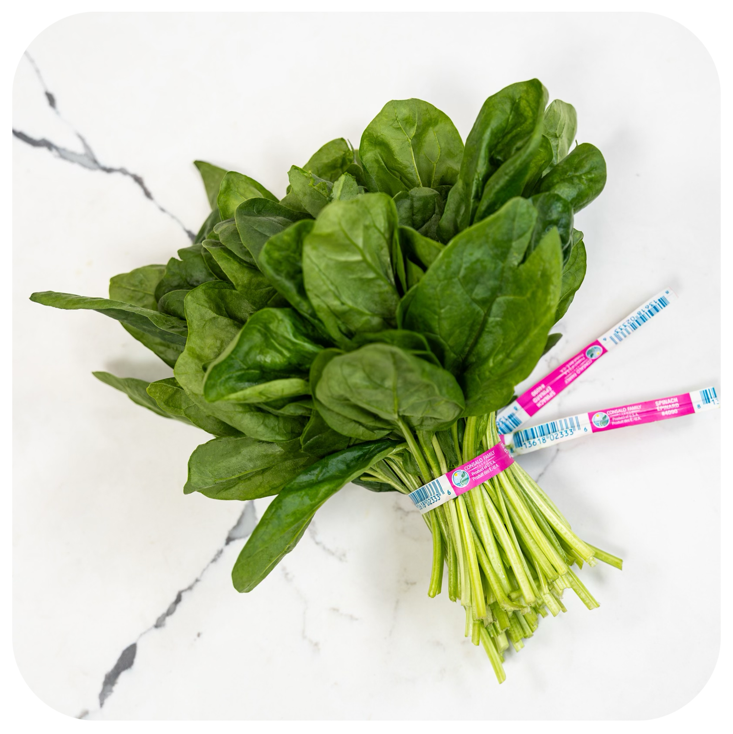 Bunched Vegetables — Consalo Family Farms