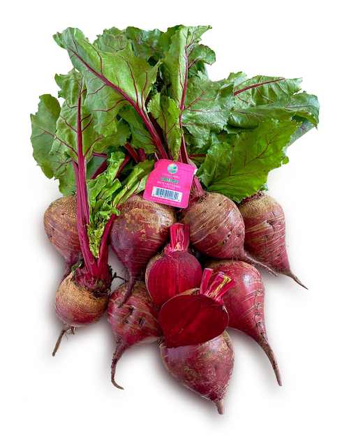 Consalo Family Farms