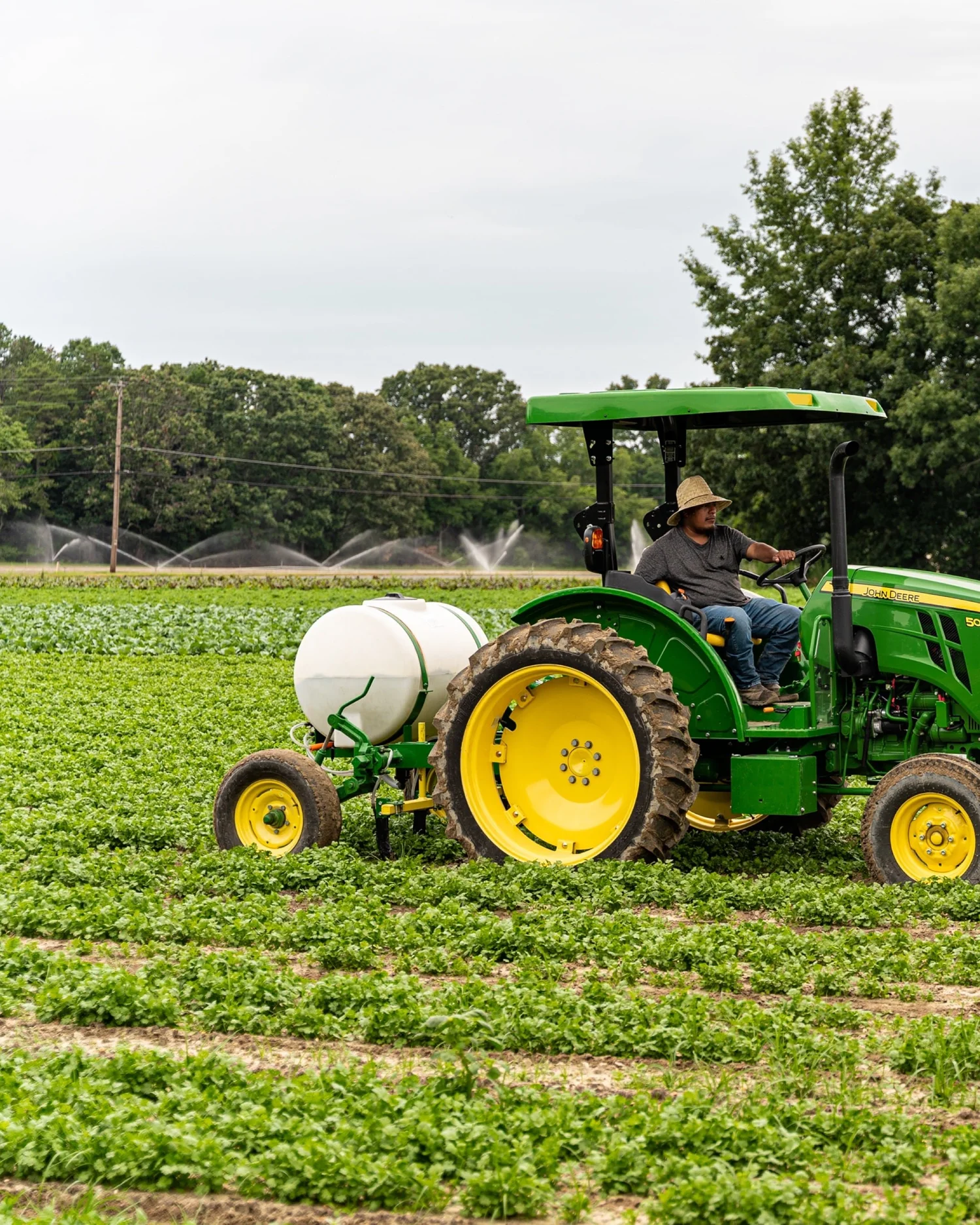 Technology — Consalo Family Farms