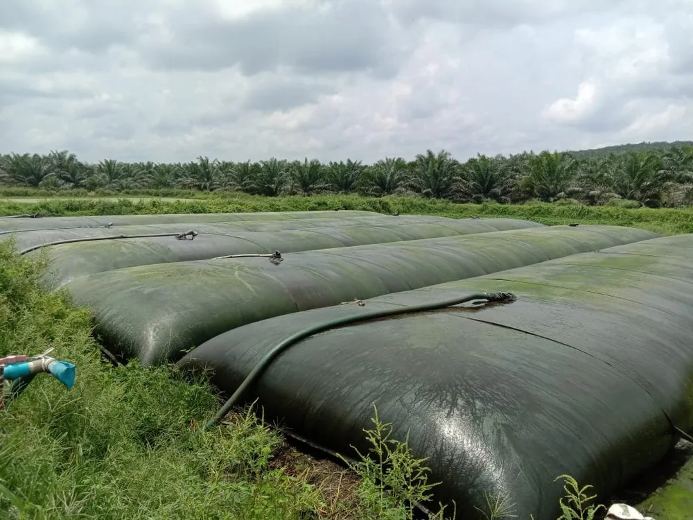 BioTube (Desludging Geotextile) — Biorem Sdn Bhd